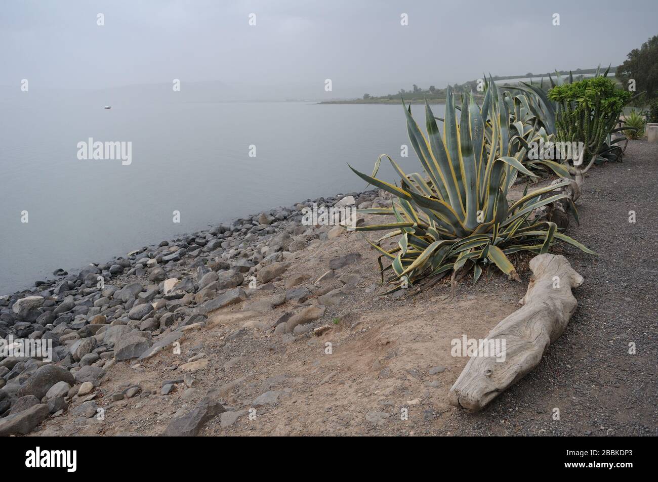 Lake water horizon landscape. Lake landscape Stock Photo - Alamy