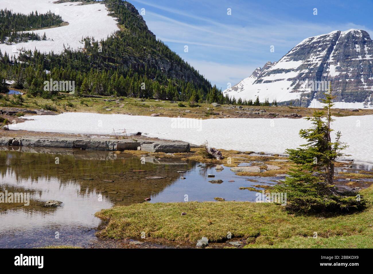 Hidden Lake in Glacier National Park in Montana USA Stock Photo - Alamy