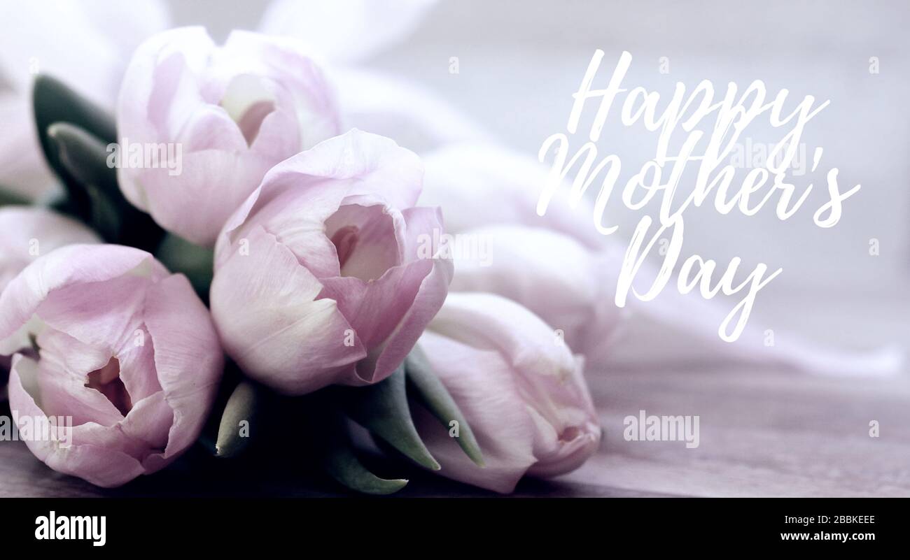Happy Mothers Day words. Beautiful and tender bouquet of flowers in the ...
