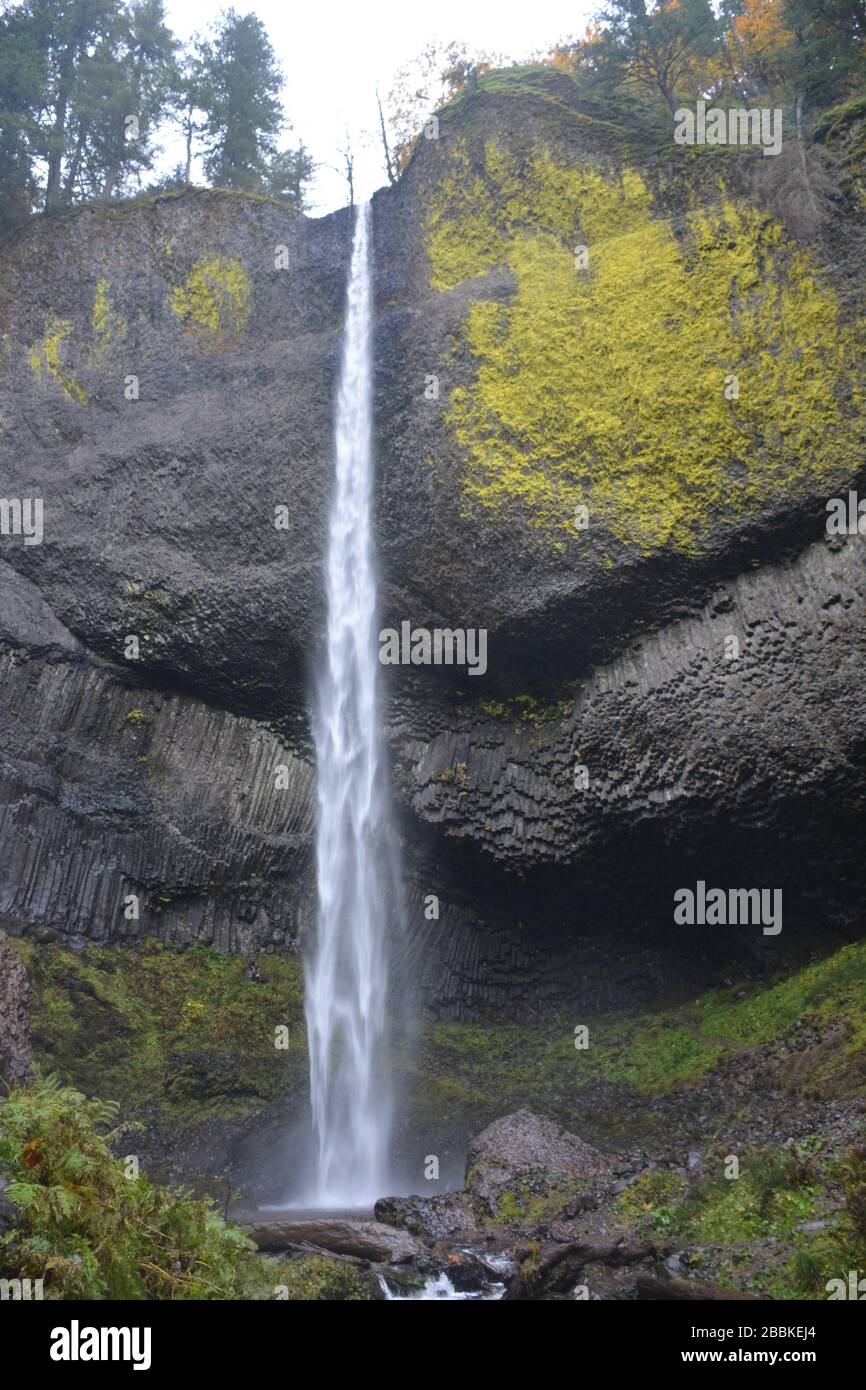 Fall view from the Latourell Falls trail, Columbia River Gorge, Oregon ...