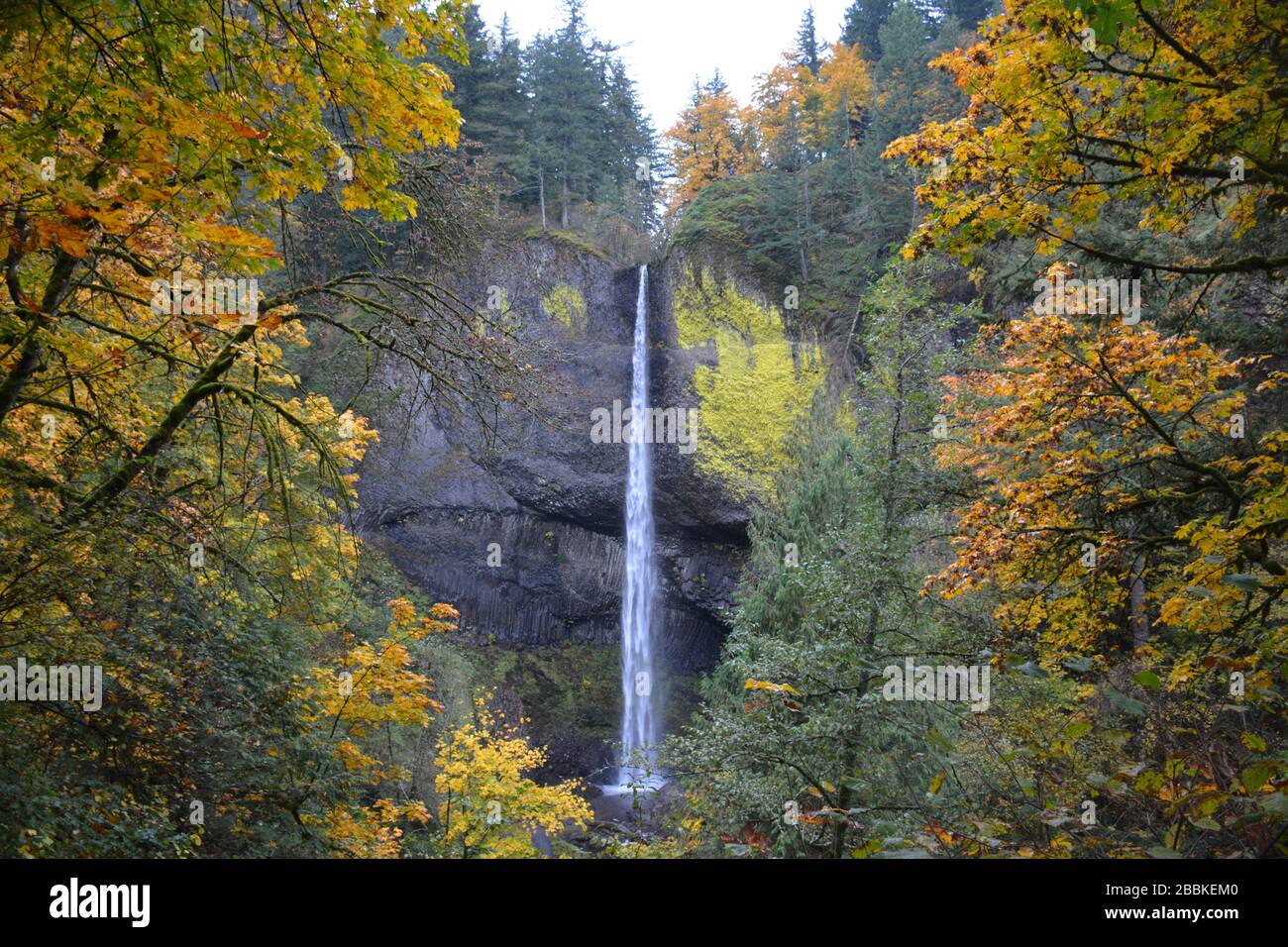 Fall view from the Latourell Falls trail, Columbia River Gorge, Oregon ...