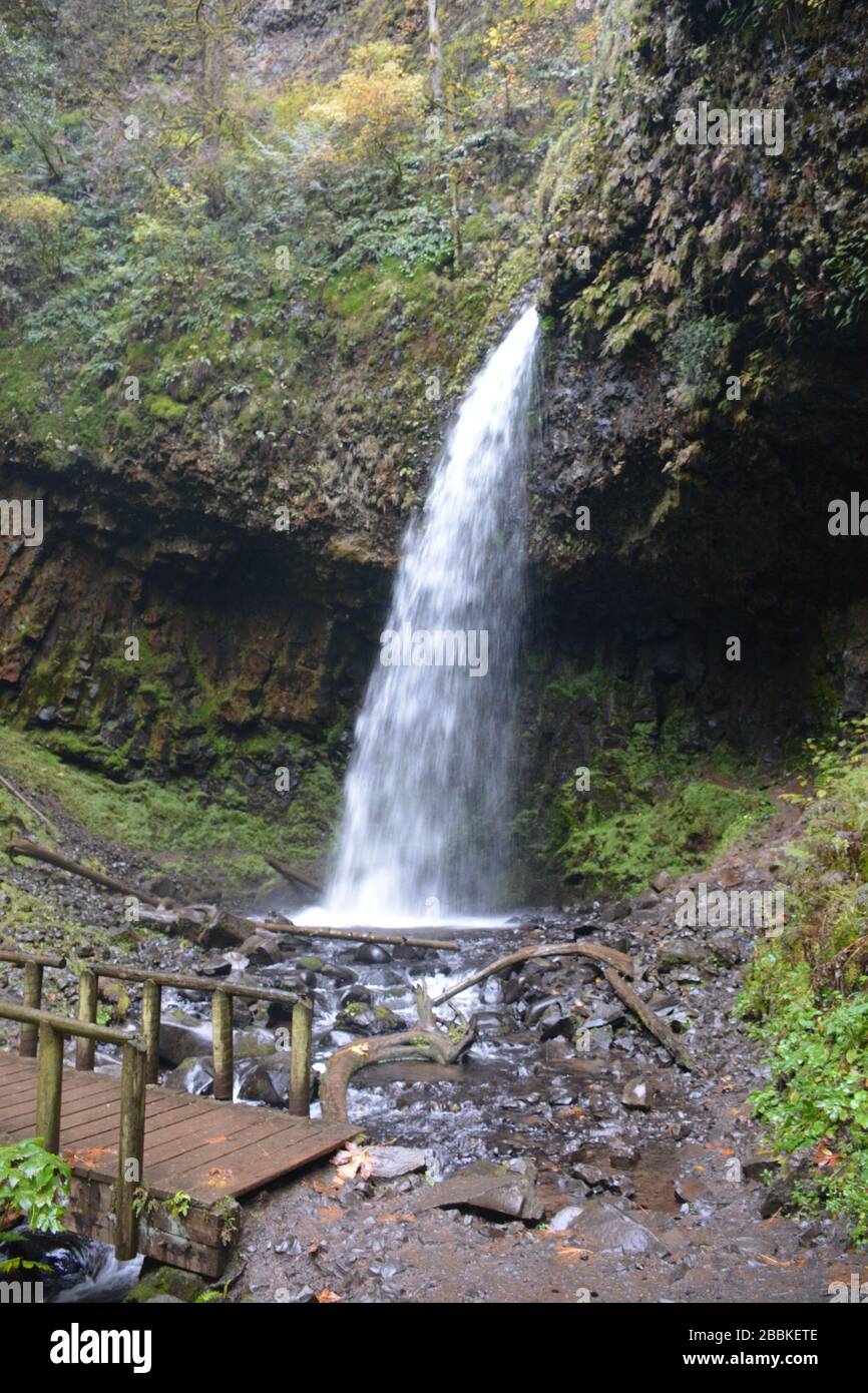 Fall view from the Latourell Falls trail, Columbia River Gorge, Oregon ...