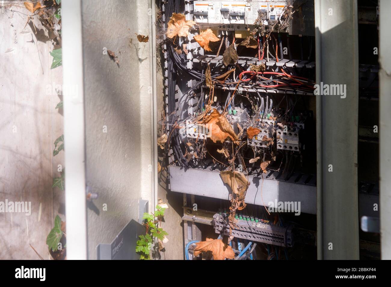 Outdoor fuse box hi-res stock photography and images - Alamy