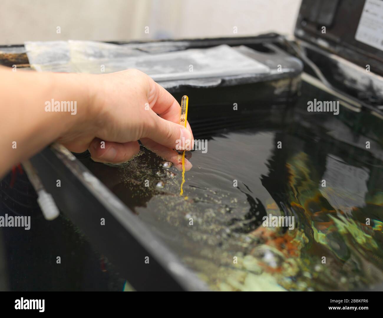 Measuring water temperature hi-res stock photography and images - Alamy