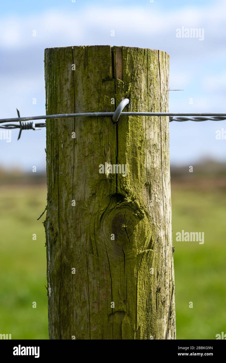 Barbed wire around a wooden fence Stock Photo - Alamy
