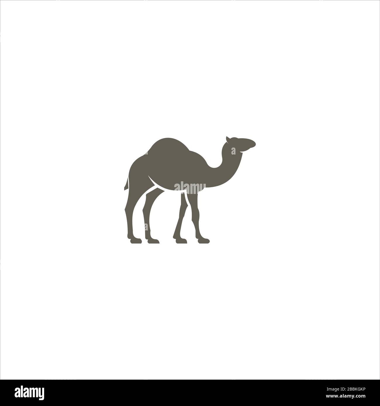 Animal Camel Logo Design Template Stock Vector Image & Art - Alamy