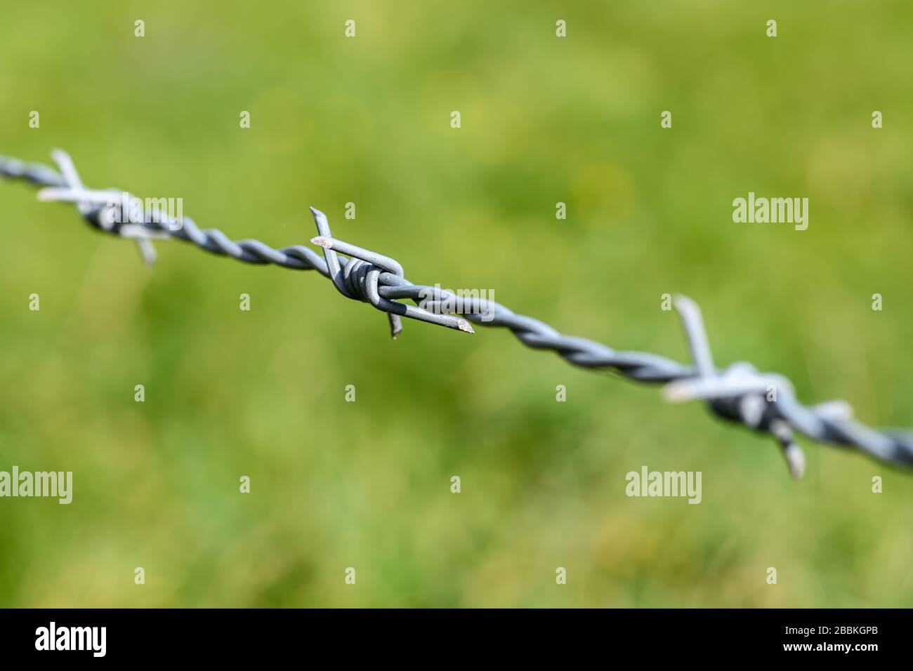 Barbed wire around a wooden fence Stock Photo - Alamy