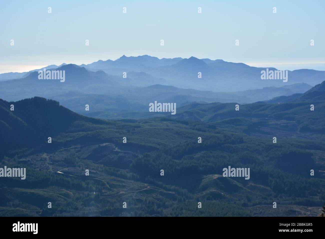 Oregon coast range logging hi-res stock photography and images - Alamy