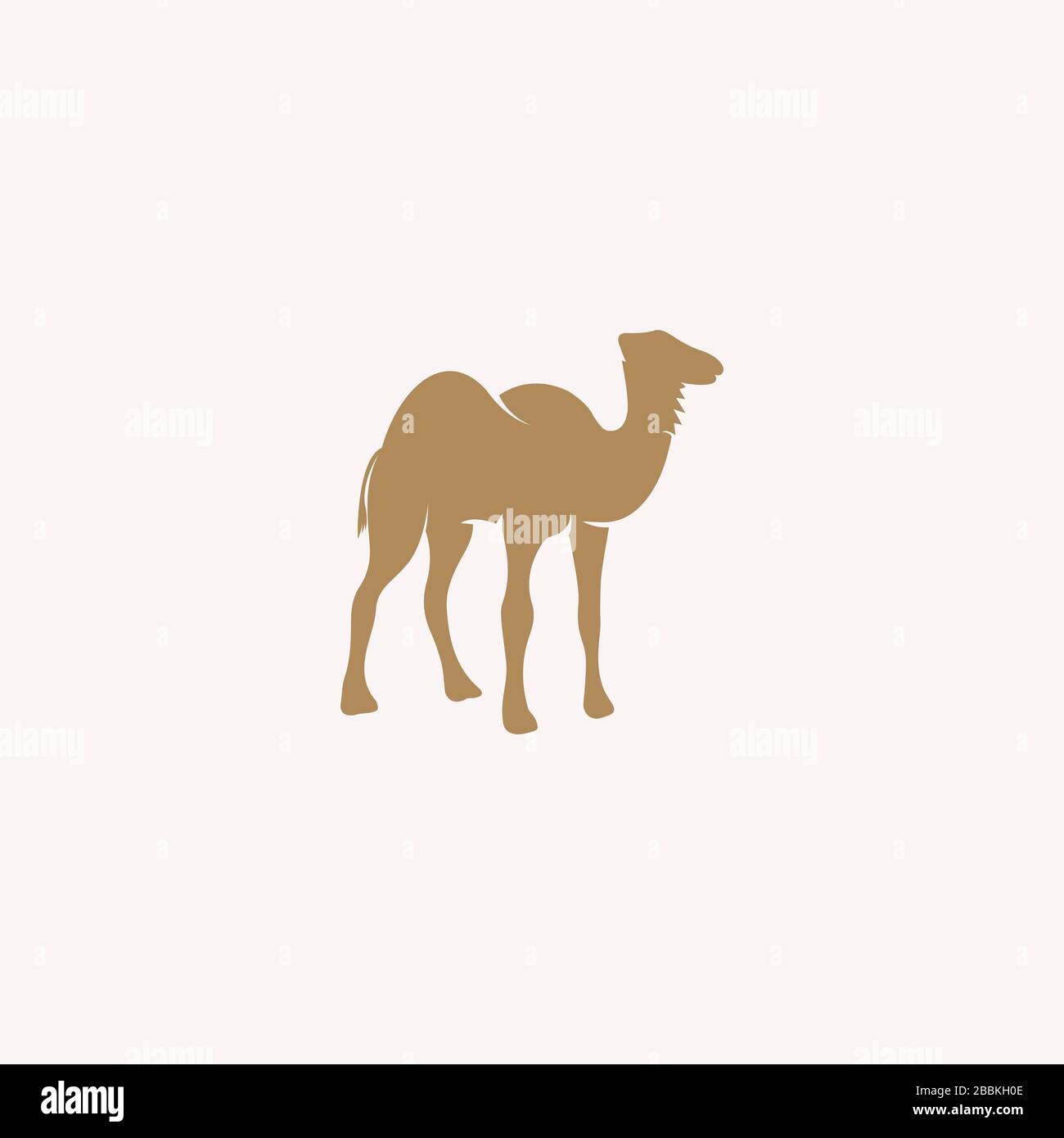Animal Camel Logo Design Template Stock Vector Image & Art - Alamy