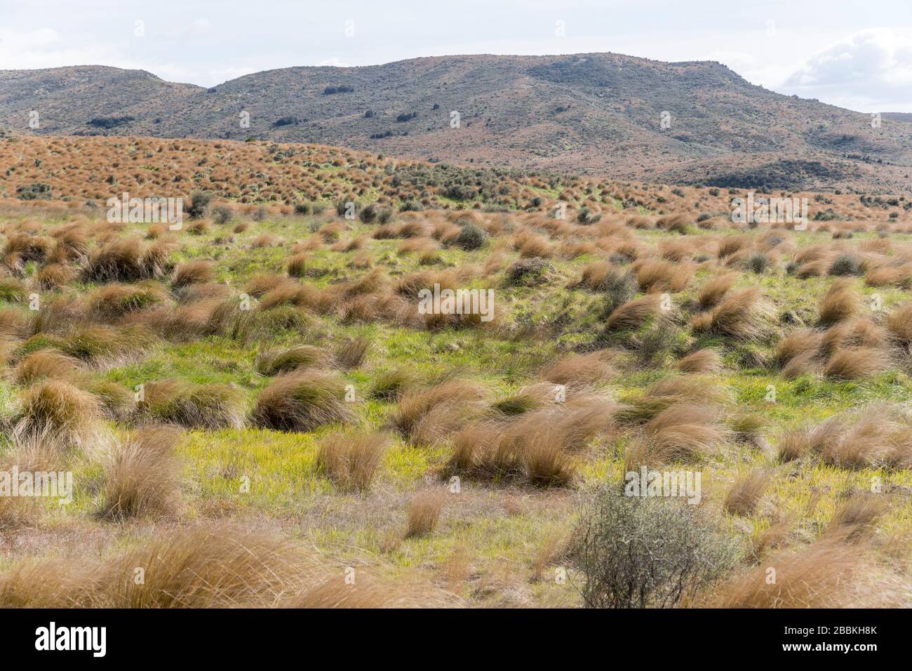 Grass on slope hi-res stock photography and images - Alamy
