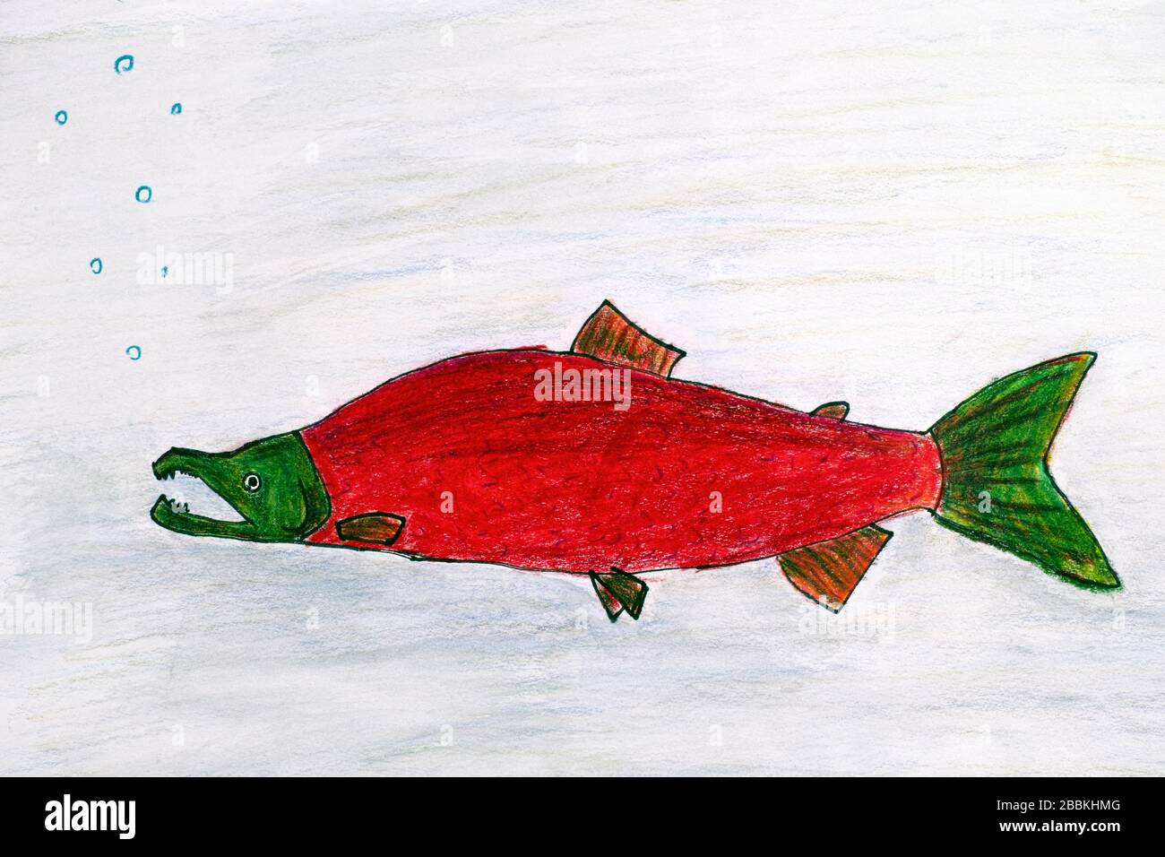 Child fish drawing hi-res stock photography and images - Alamy