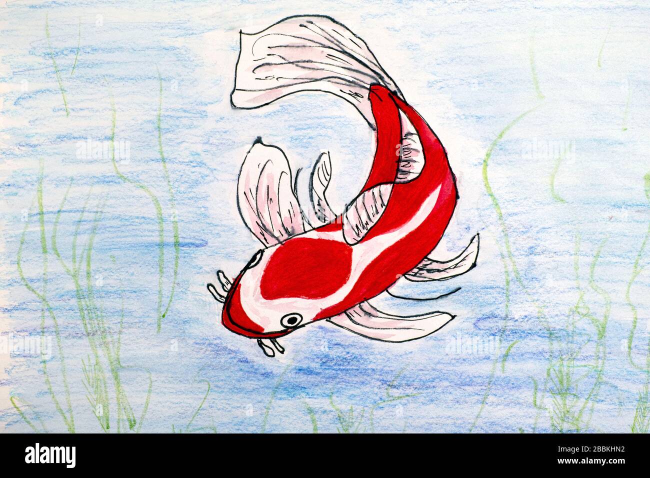 Pencil Drawings Of Koi Fish