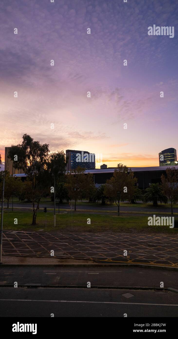 Tree skyview hi-res stock photography and images - Alamy