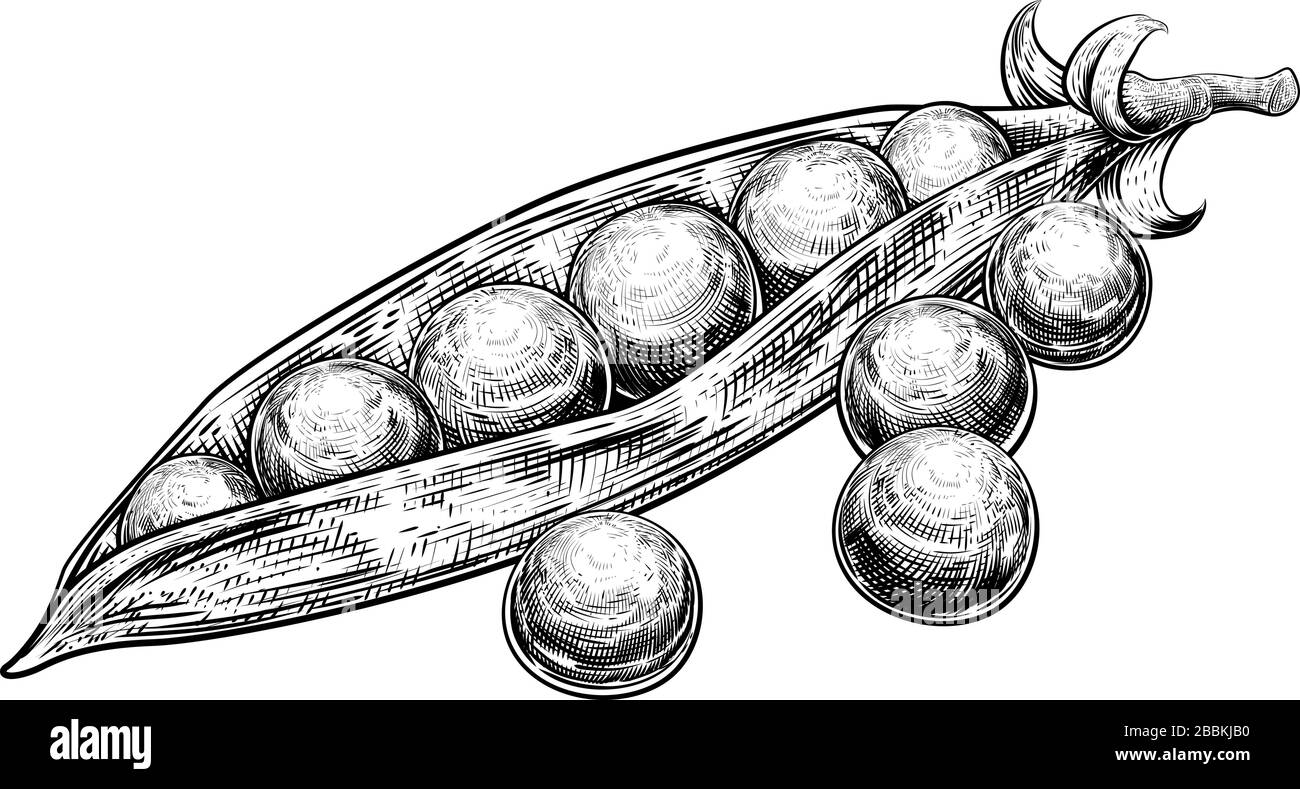 Carving images Stock Vector Images - Alamy