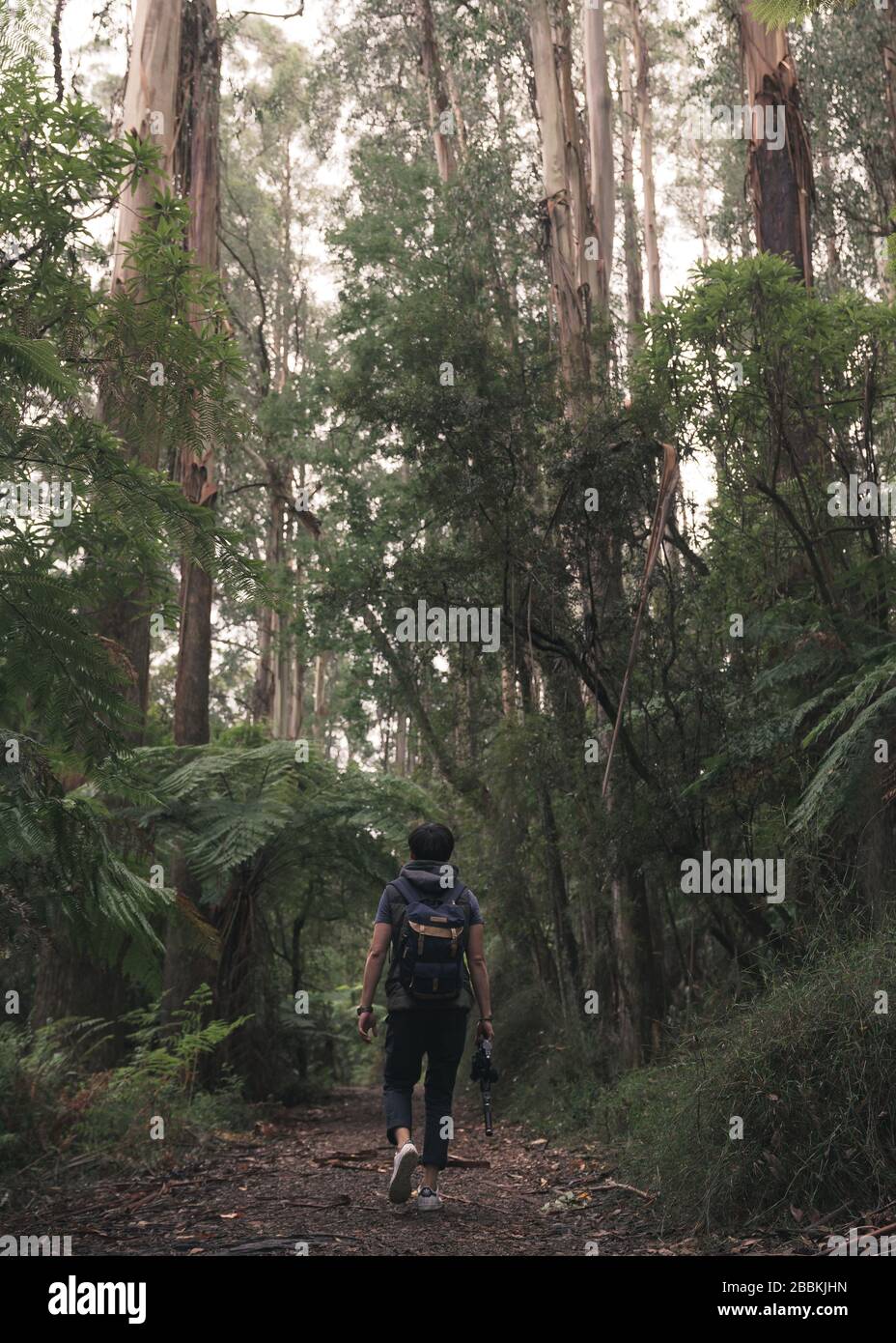 Walking traking hi-res stock photography and images - Alamy