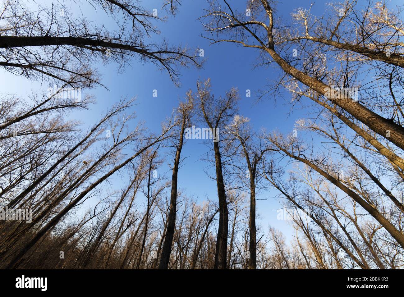 Angle bottom view hi-res stock photography and images - Alamy