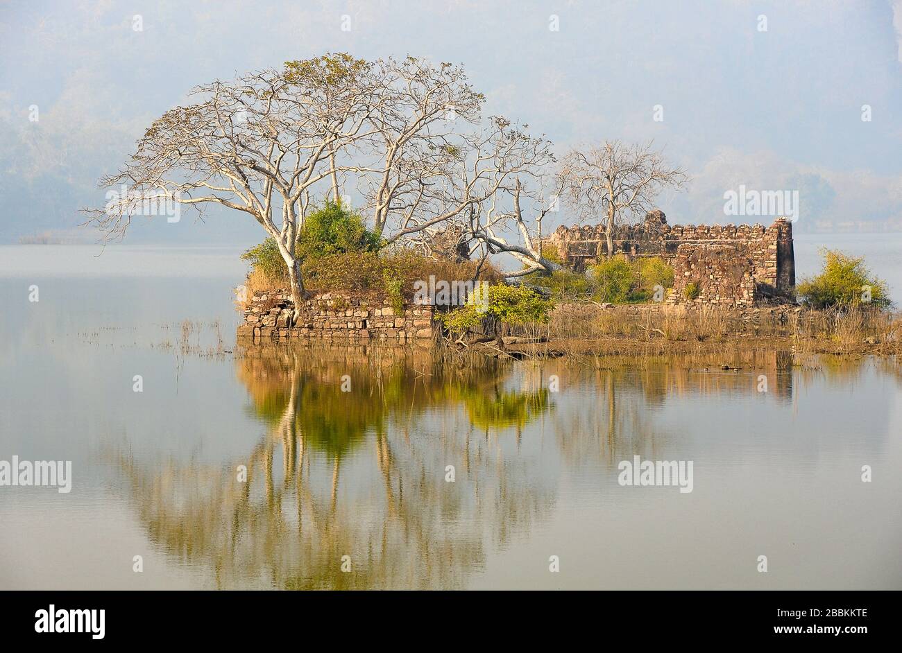 Padam talao lake hi-res stock photography and images - Alamy