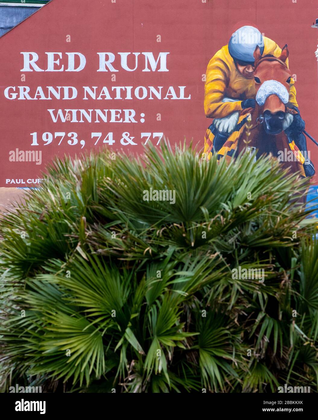 A mural legendary racehorse red rum hi-res stock photography and images ...