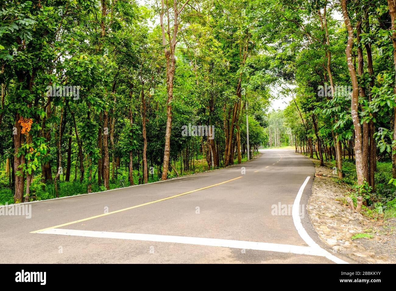 Single road in upcountry with nature beside Stock Photo - Alamy