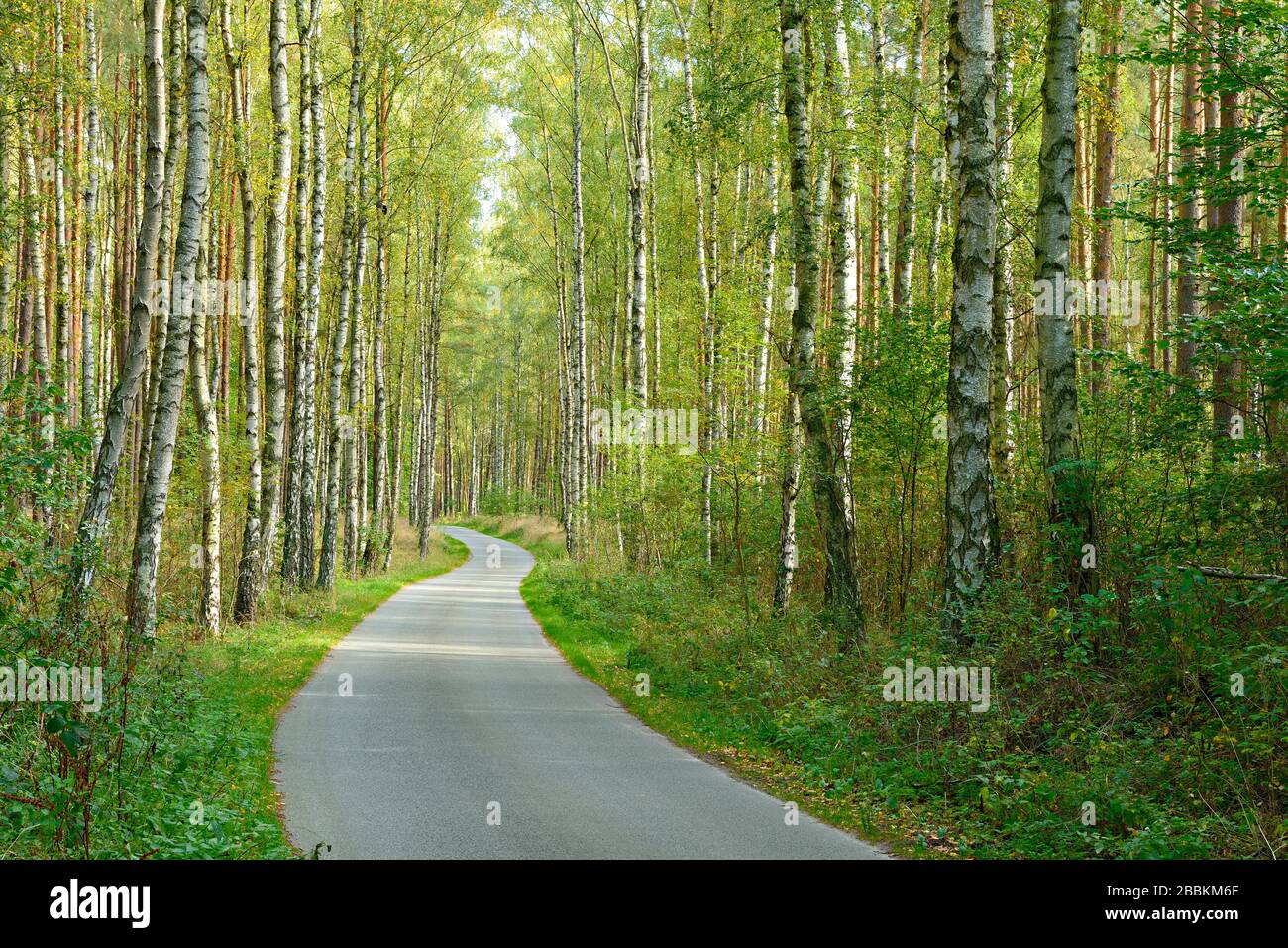 Typical german road hi-res stock photography and images - Alamy