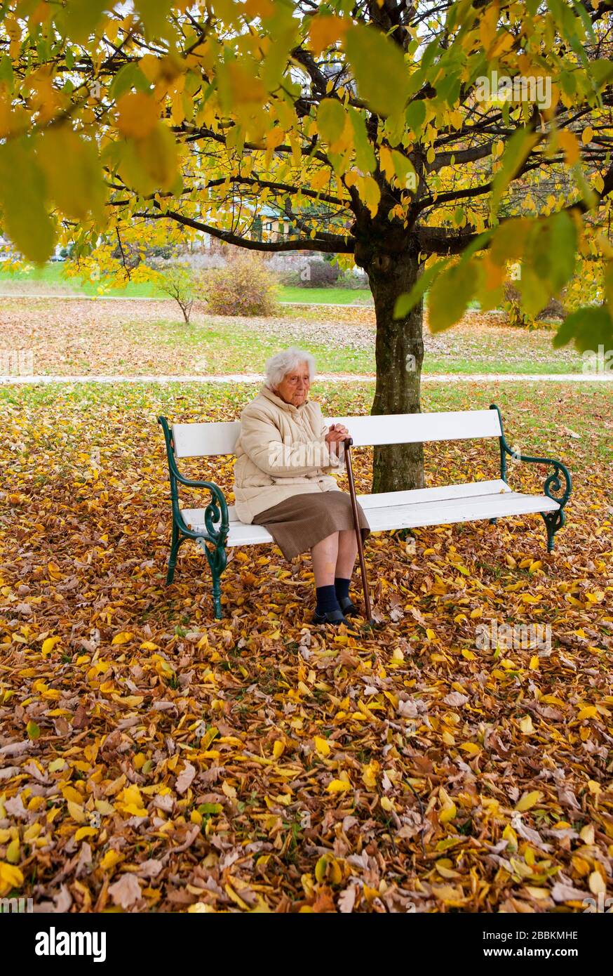 Senior citizen sitting on a park bench in autumn hi-res stock ...