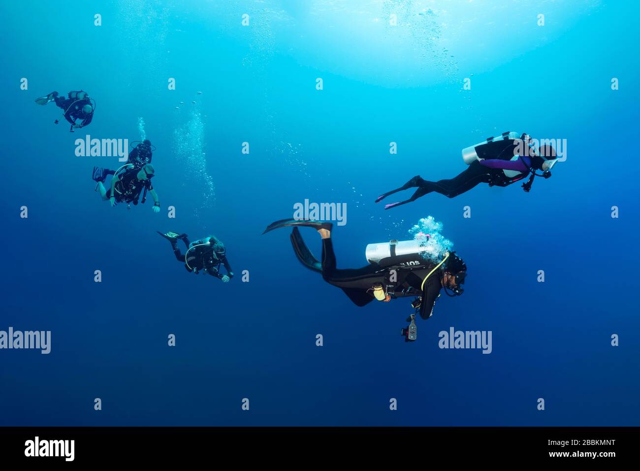 Group of divers diving in blue water, Indian Ocean, Maldives Stock ...