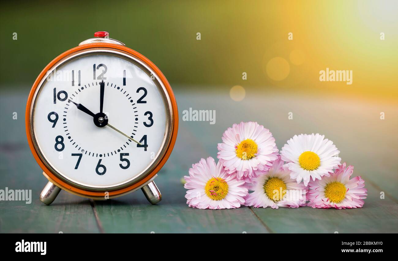 Summer, summertime concept - web banner of alarm clock and daisy ...