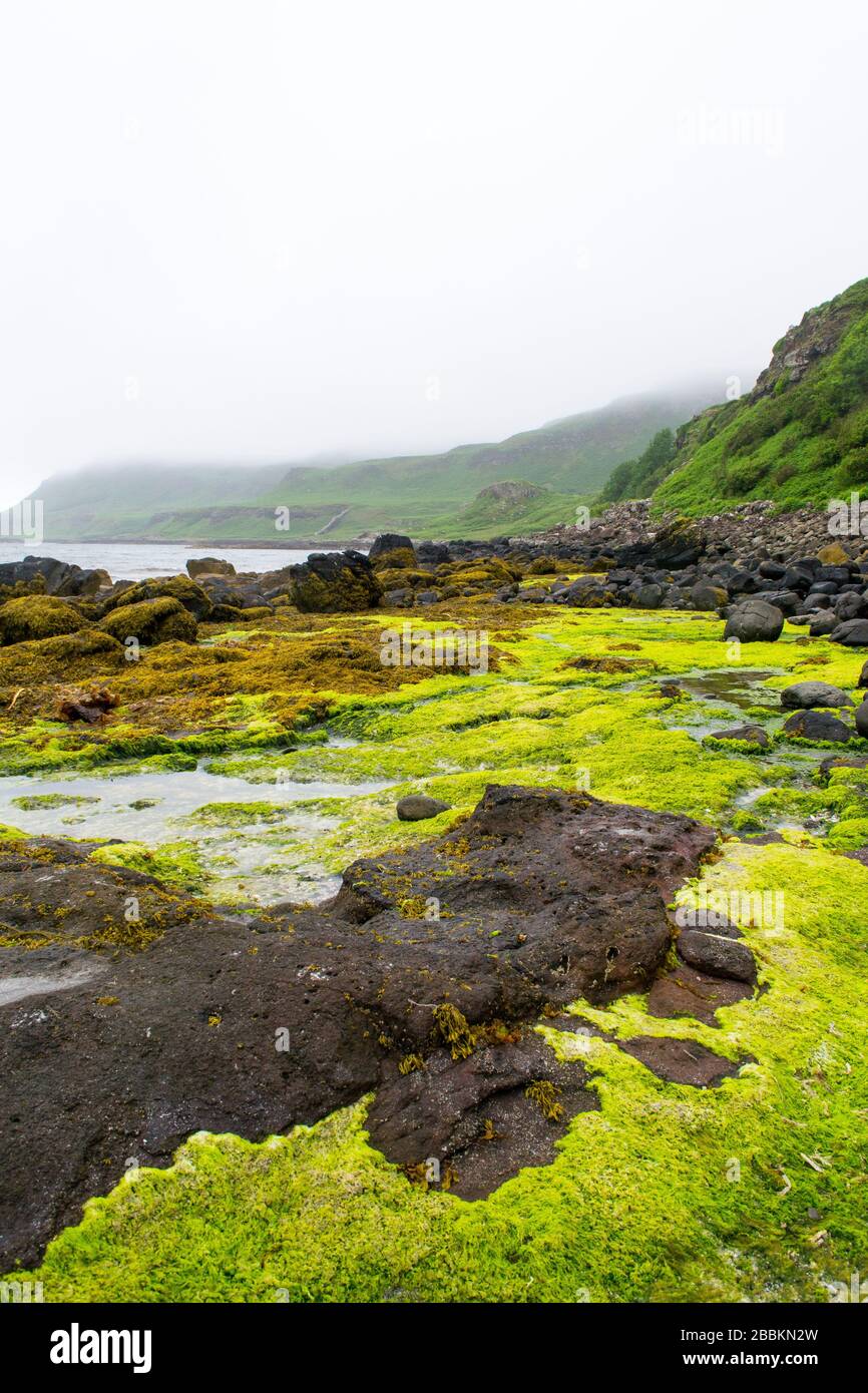 Calgary beach mull aerial hi-res stock photography and images - Alamy