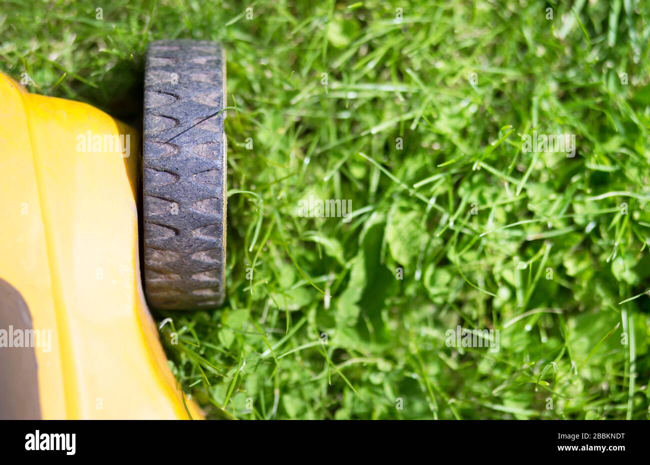 Close-up of a lawn mower wheel on green lawn grass, gardening equipment ...