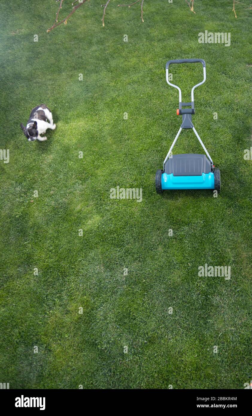 Lawnmover hand held machine. Hand lawn mower. Lawn mower on a green ...