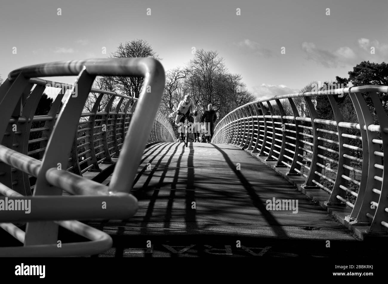 Bute Park Footbridge Stock Photo - Alamy