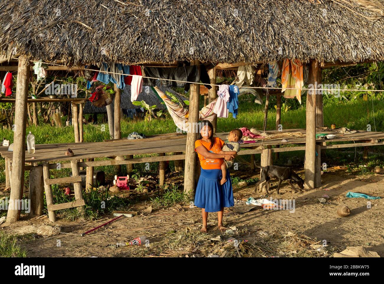 native people in wooden house on stilts of Warao indians, Orinoco-Delta ...