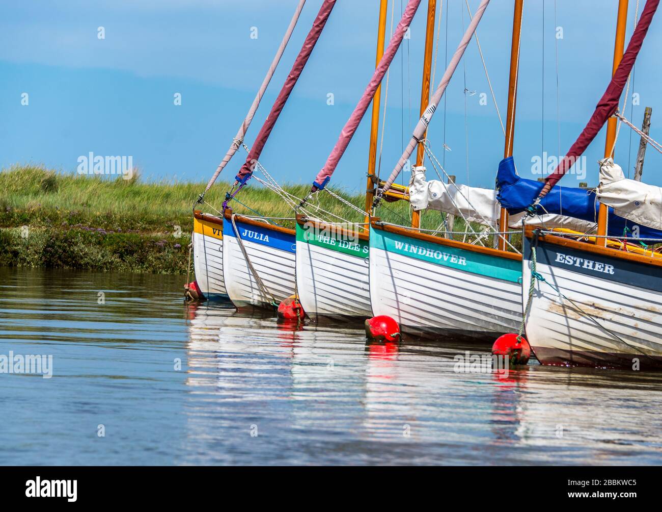 5 white sailing boats in a row with different coloured edging, in ...