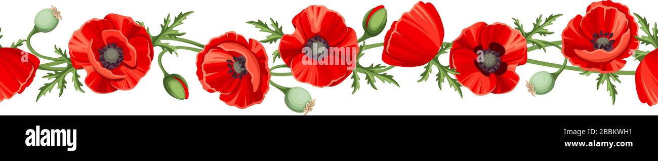 Vector horizontal seamless border with red poppy flowers on a white ...