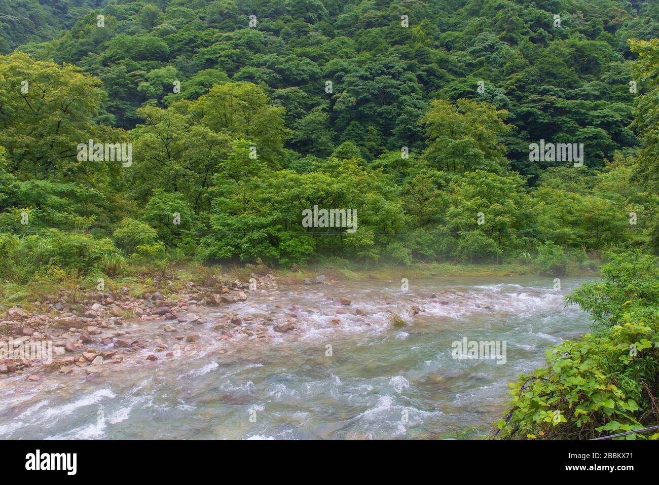 Waterfall and bridge in Golden whip stream at Zhangjiajie National ...