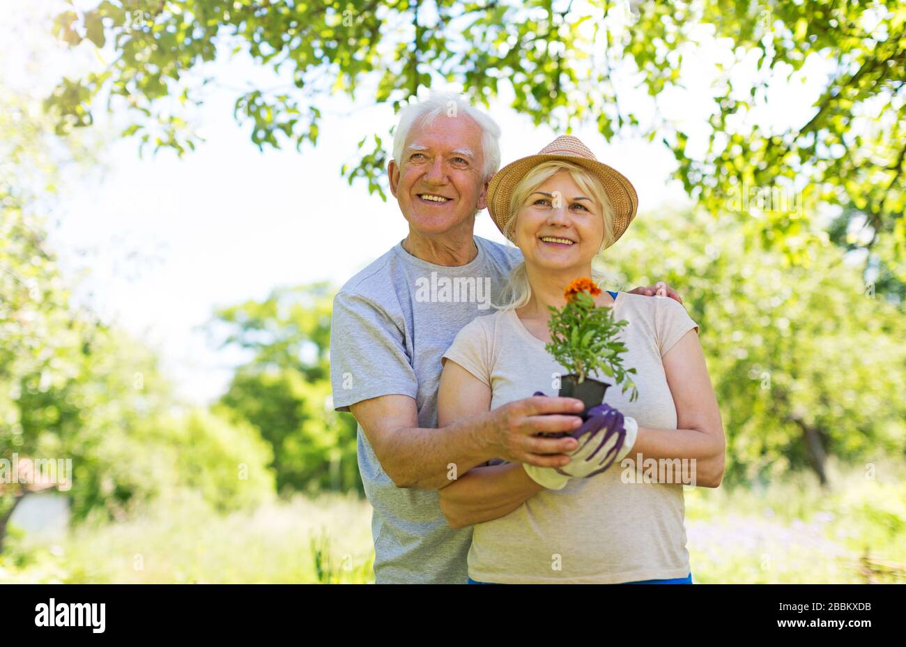 Old couple gardening hi-res stock photography and images - Alamy