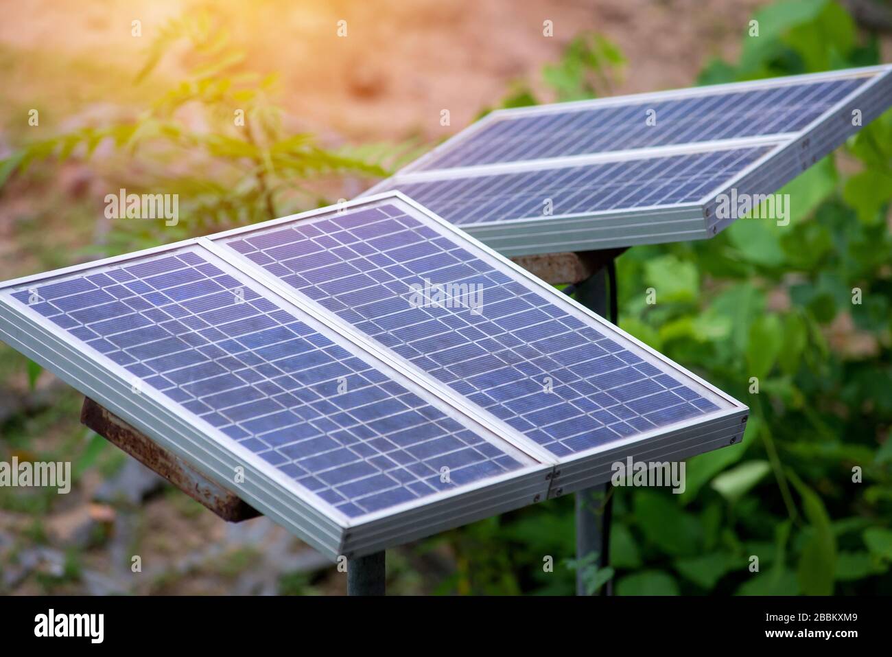 photovoltaic using renewable solar energy in forest Stock Photo - Alamy