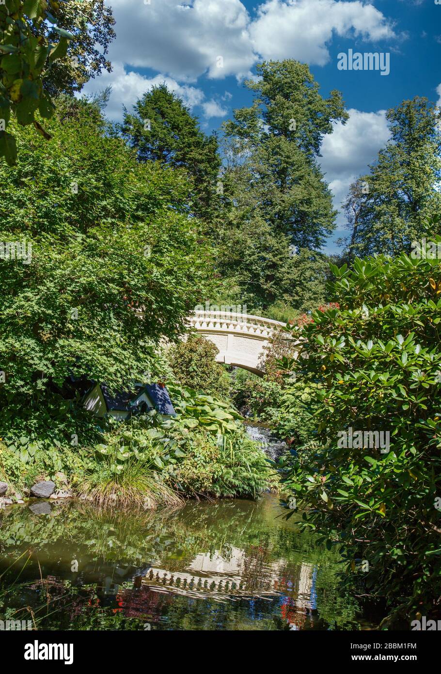 Bridge through trees hi-res stock photography and images - Alamy