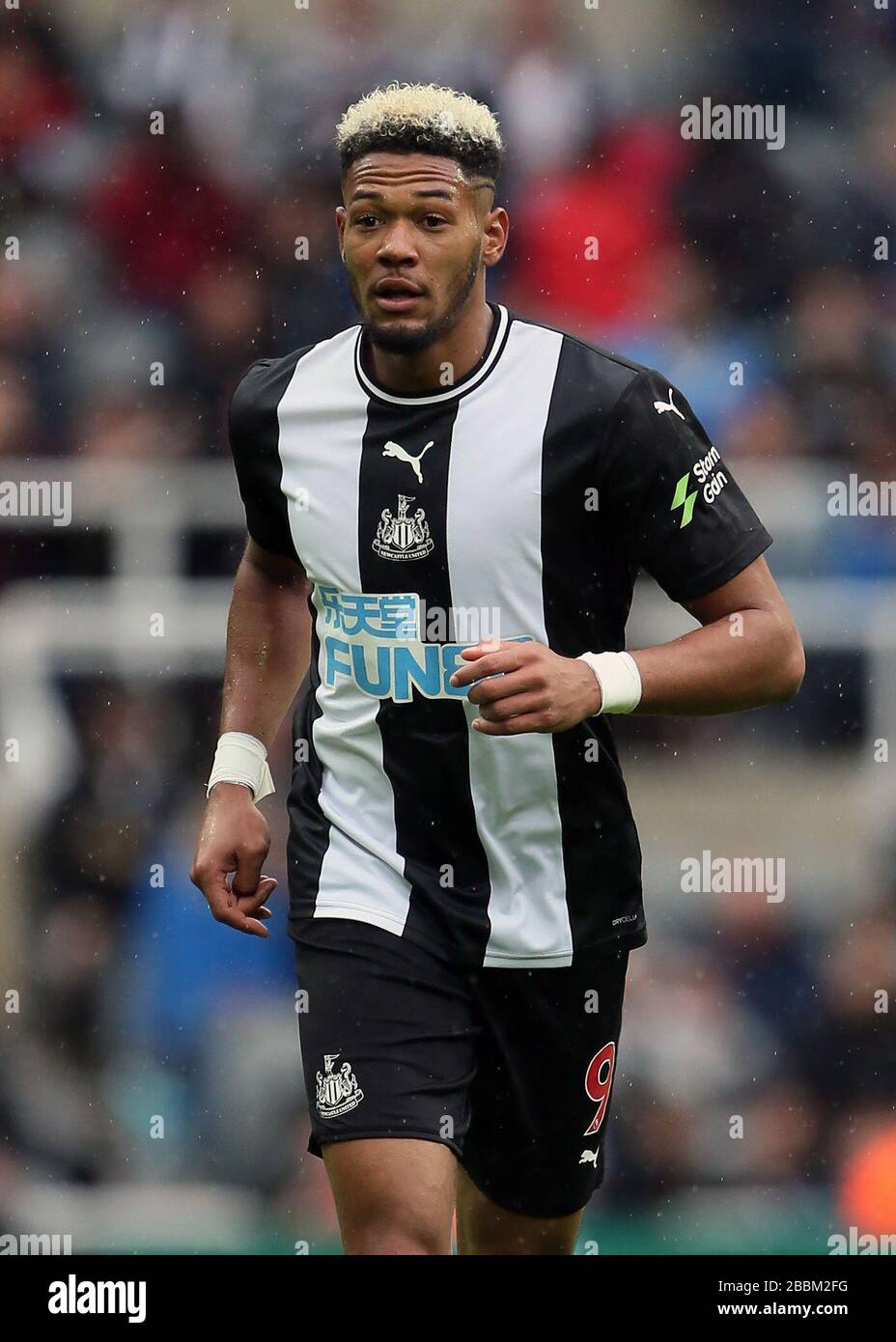 Newcastle United's Joelinton Stock Photo - Alamy