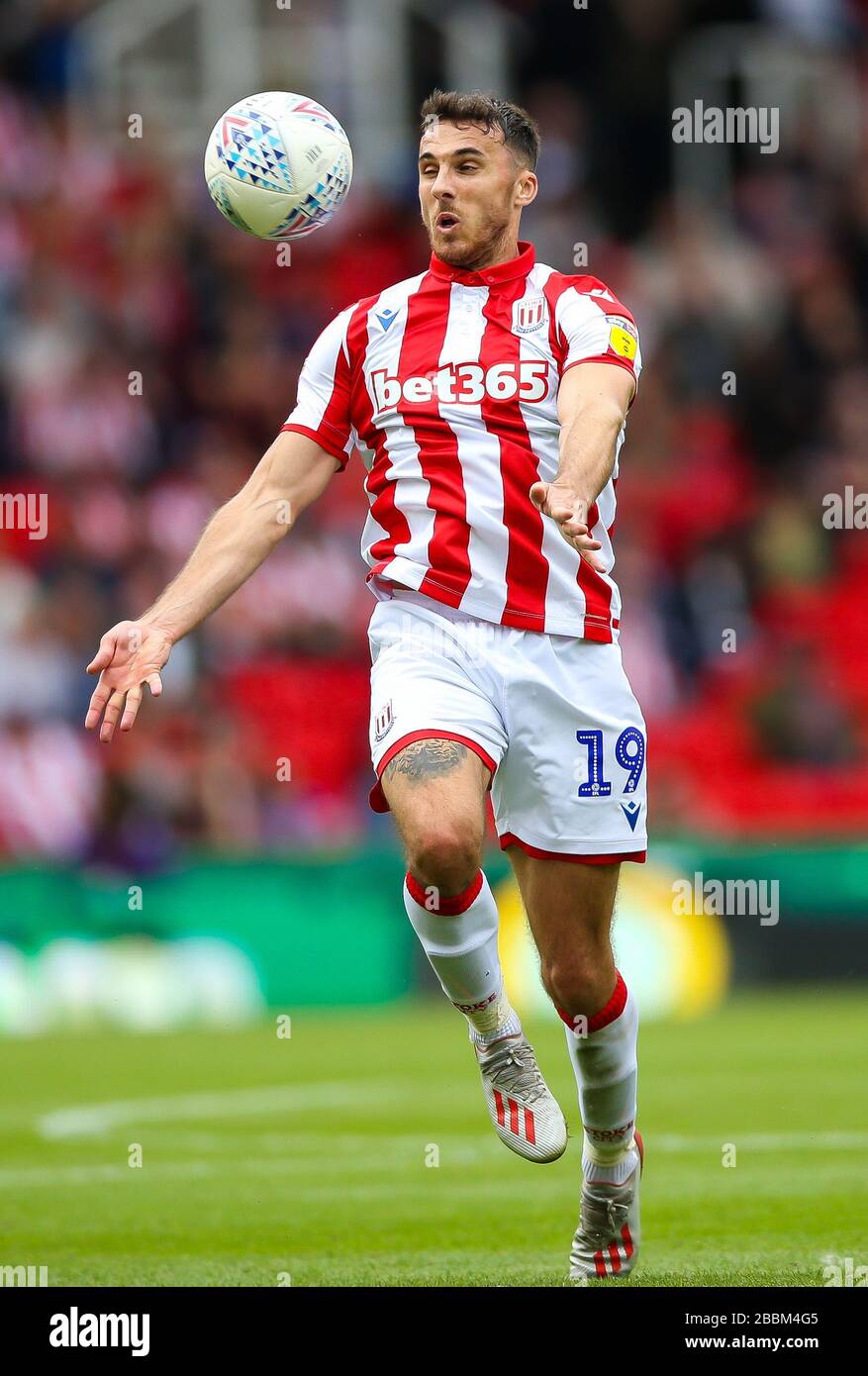 Stoke City's Lee Gregory in action Stock Photo - Alamy