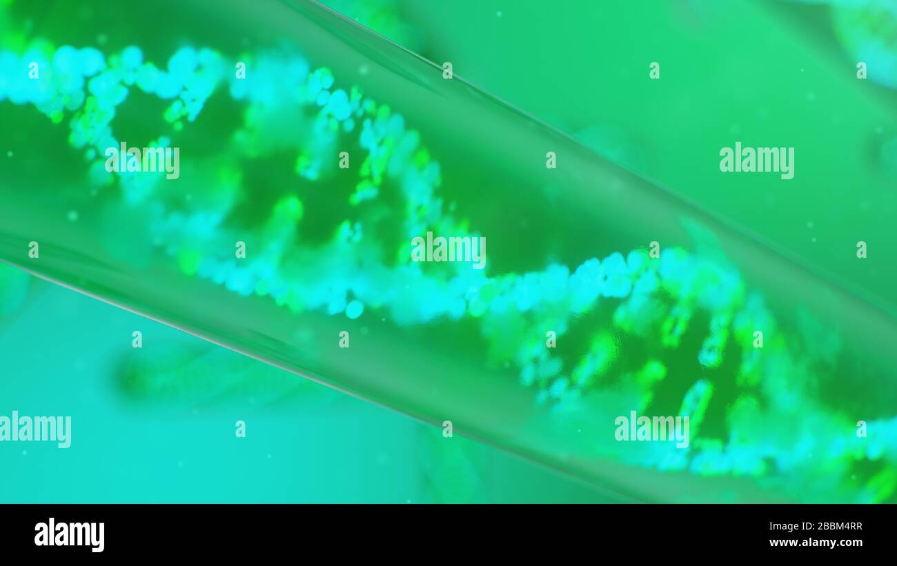 3D Illustration DNA molecule, its structure. Concept human genome. DNA ...