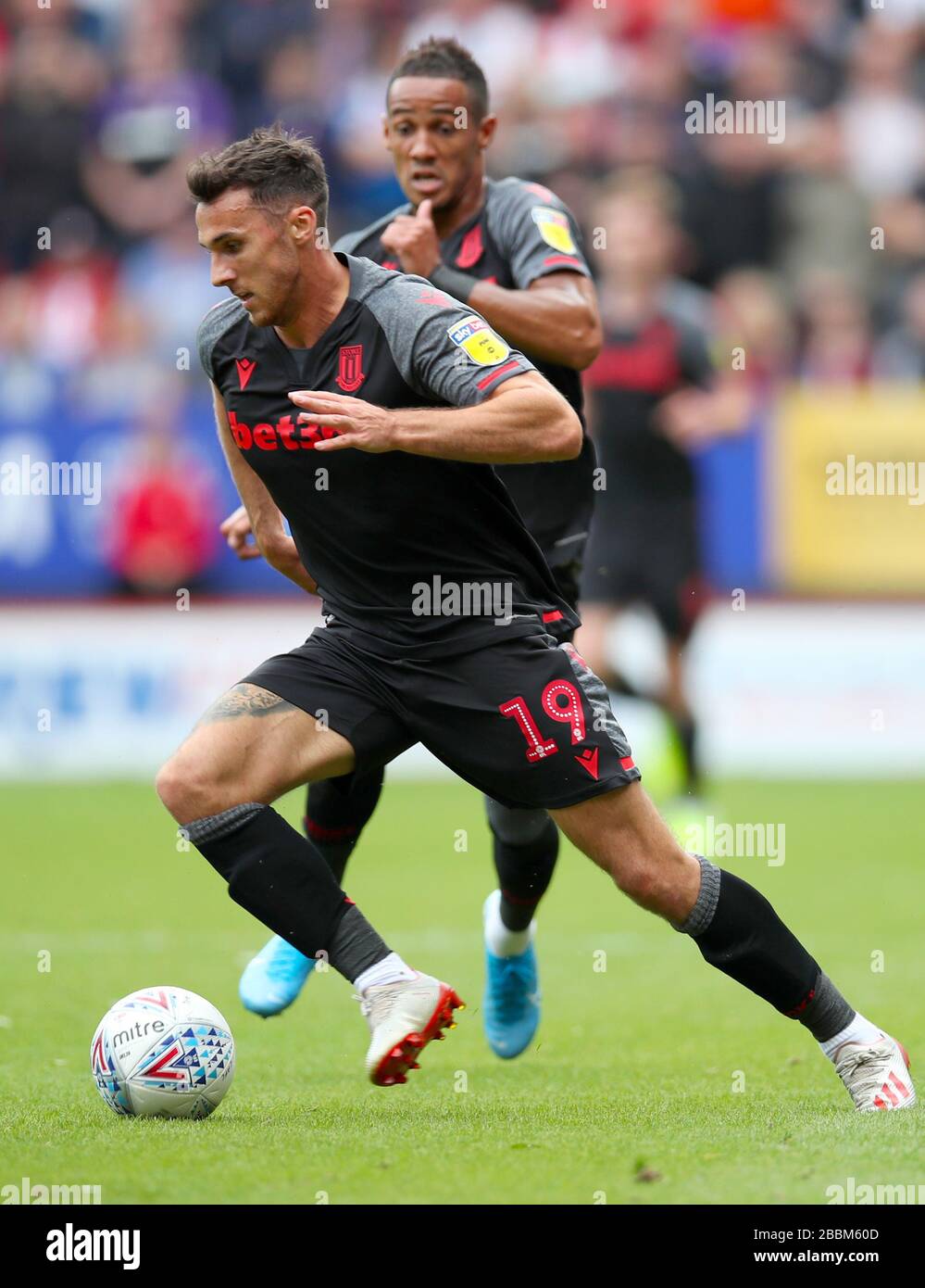 Stoke City's Lee Gregory Stock Photo - Alamy