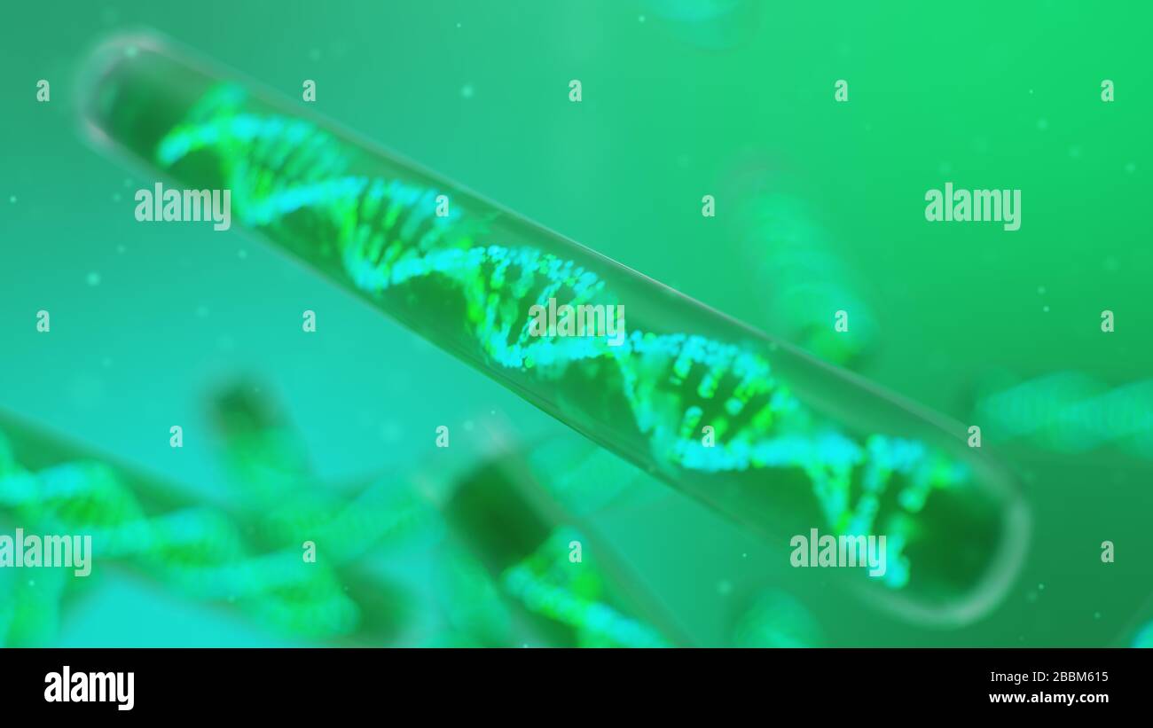 DNA molecule, its structure. Concept human genome. DNA molecule with ...
