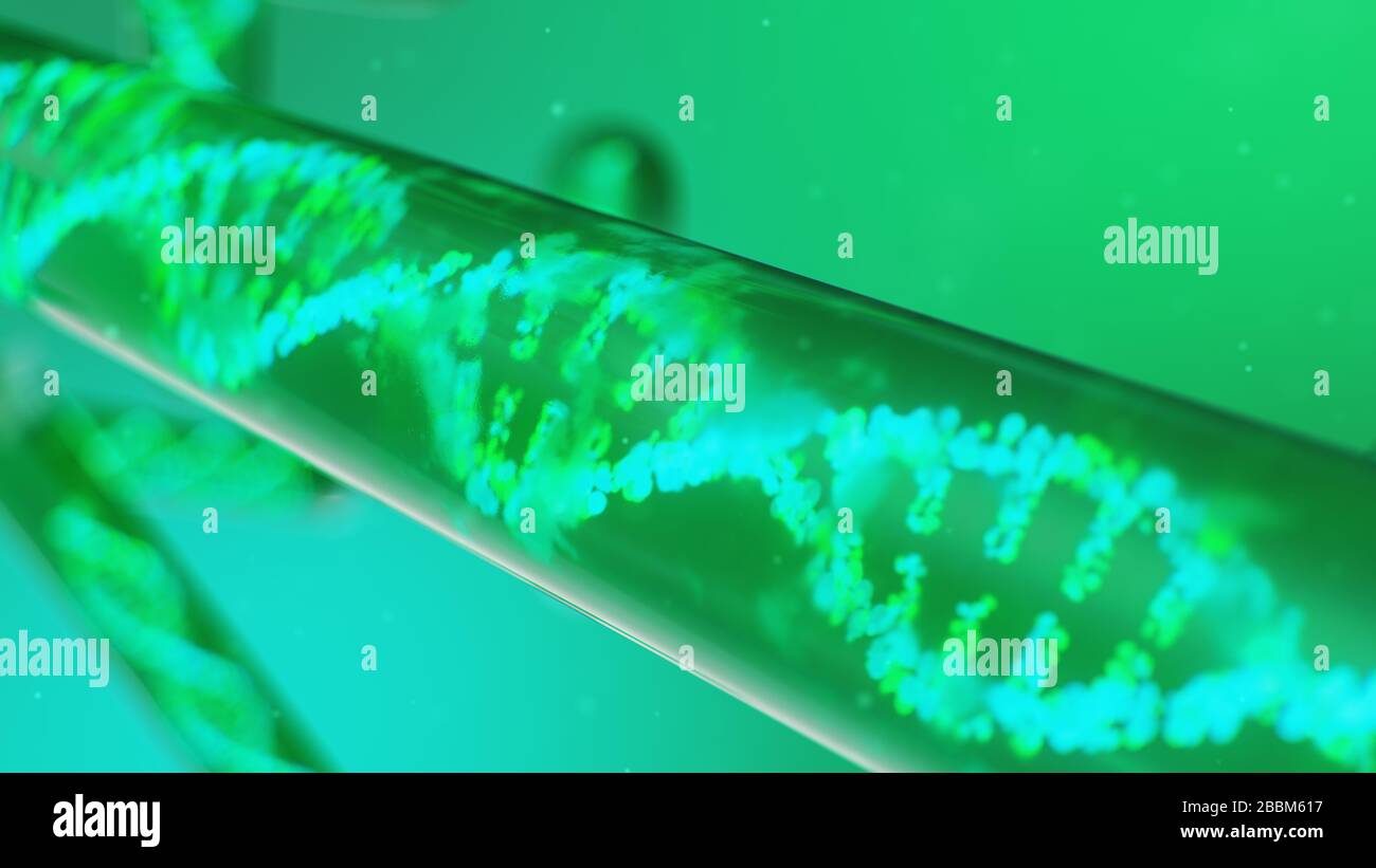 3D Illustration DNA molecule, its structure. Concept human genome. DNA ...