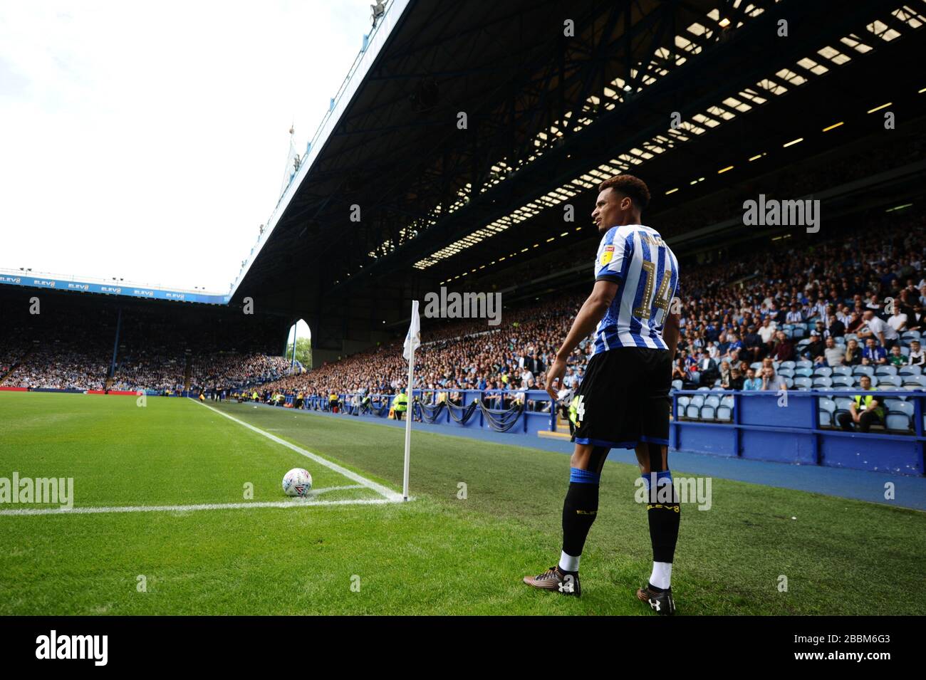 Zacgoodwinpics hi-res stock photography and images - Alamy