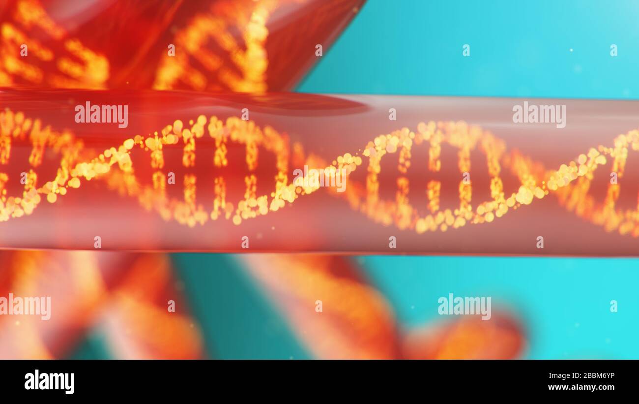 3D Illustration DNA molecule, its structure. Concept human genome. DNA ...