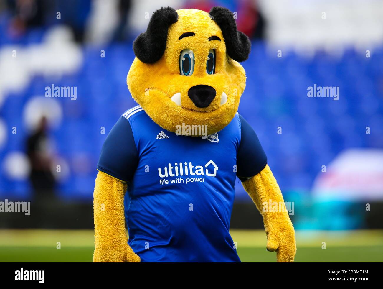 Birmingham City's mascot Beau Brummie before the Sky Bet Championship ...