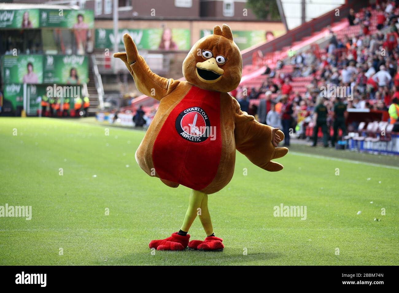 Charlton Athletic mascot Robyn Stock Photo - Alamy