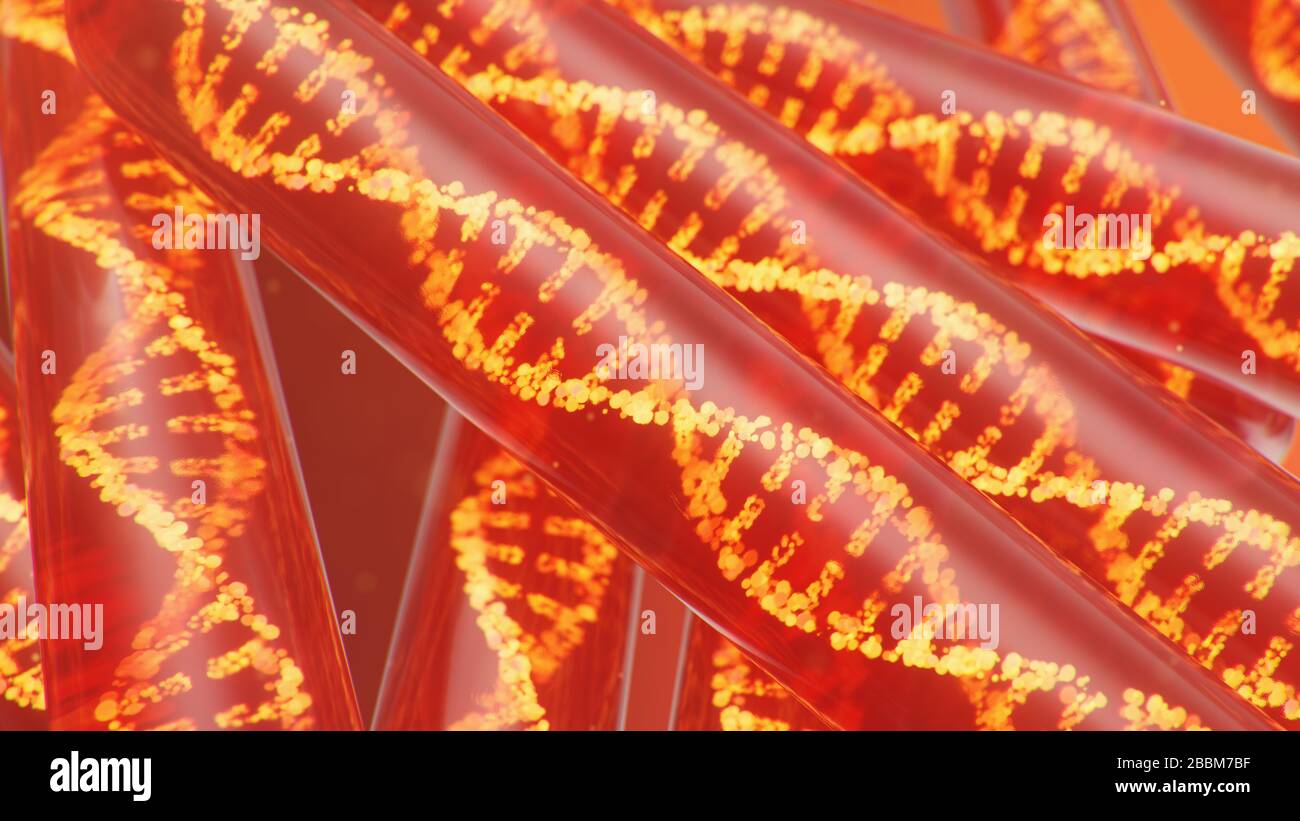 3D Illustration DNA molecule, its structure. Concept human genome. DNA ...