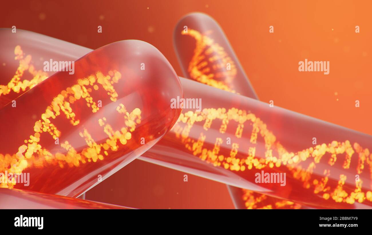 DNA molecule, its structure. Concept human genome. DNA molecule with ...